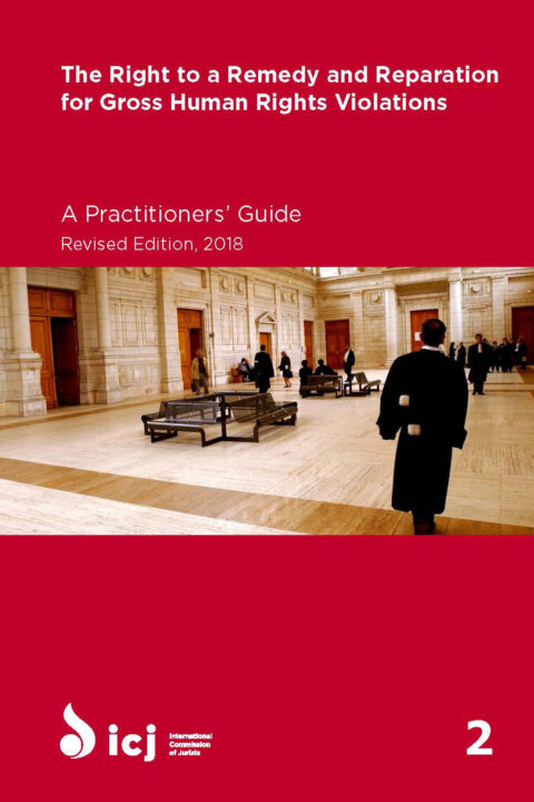 The right to a remedy and reparation for gross human rights violations ...