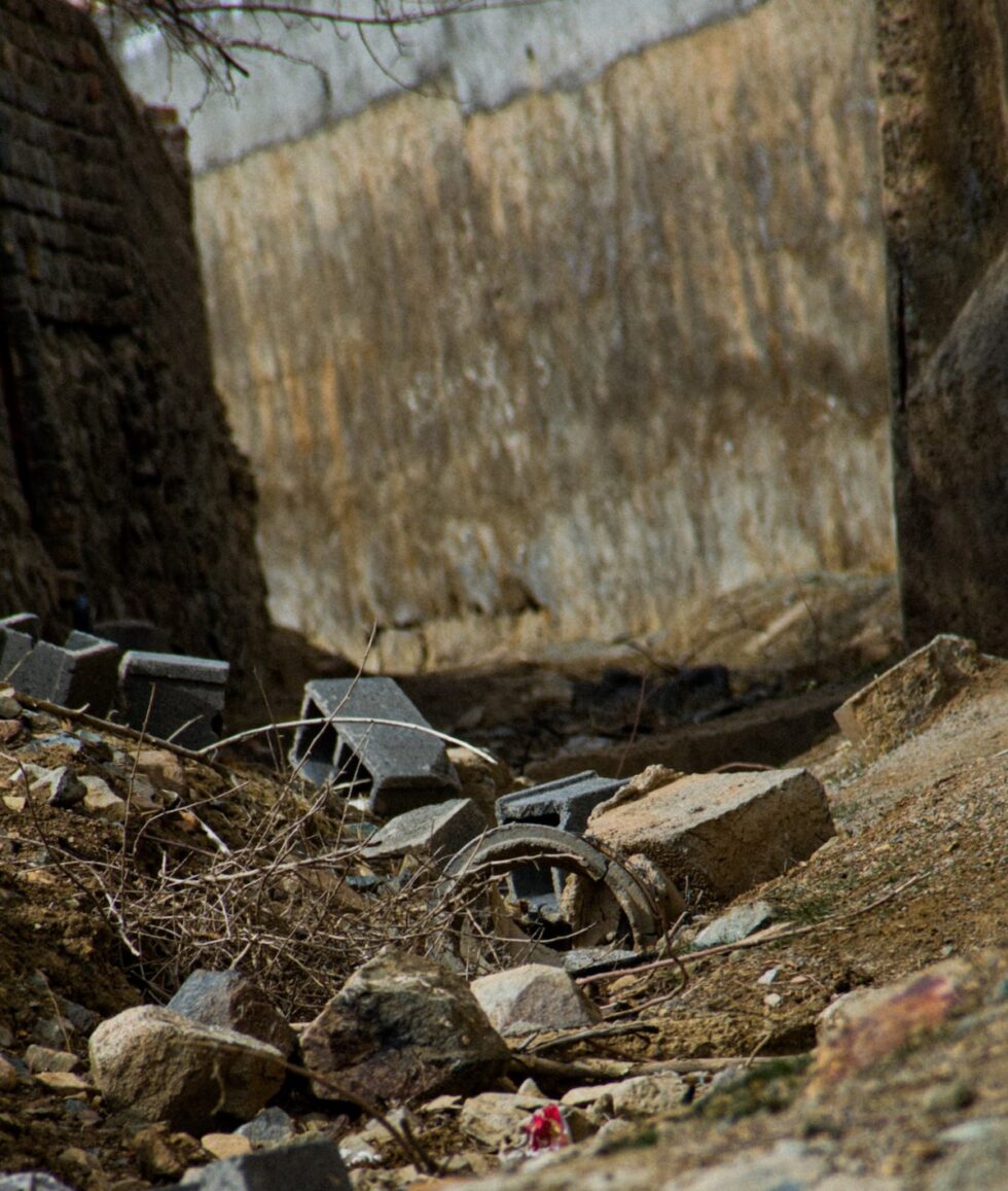 Gaza/Palestine: States have a Duty to Prevent Genocide | ICJ