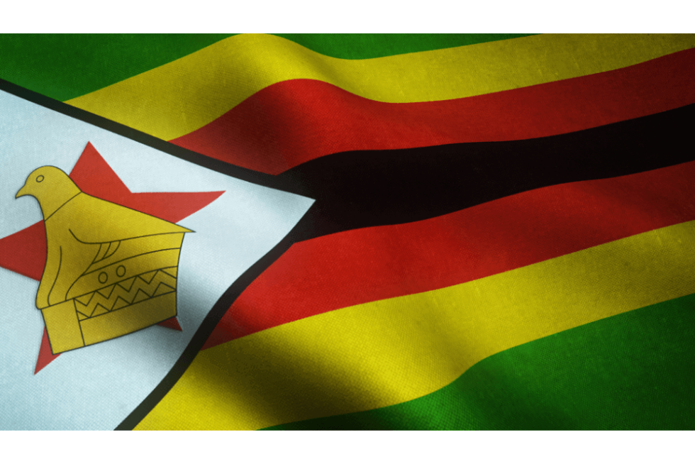 Zimbabwe: President Mnangagwa-led government must stop targeting and ...